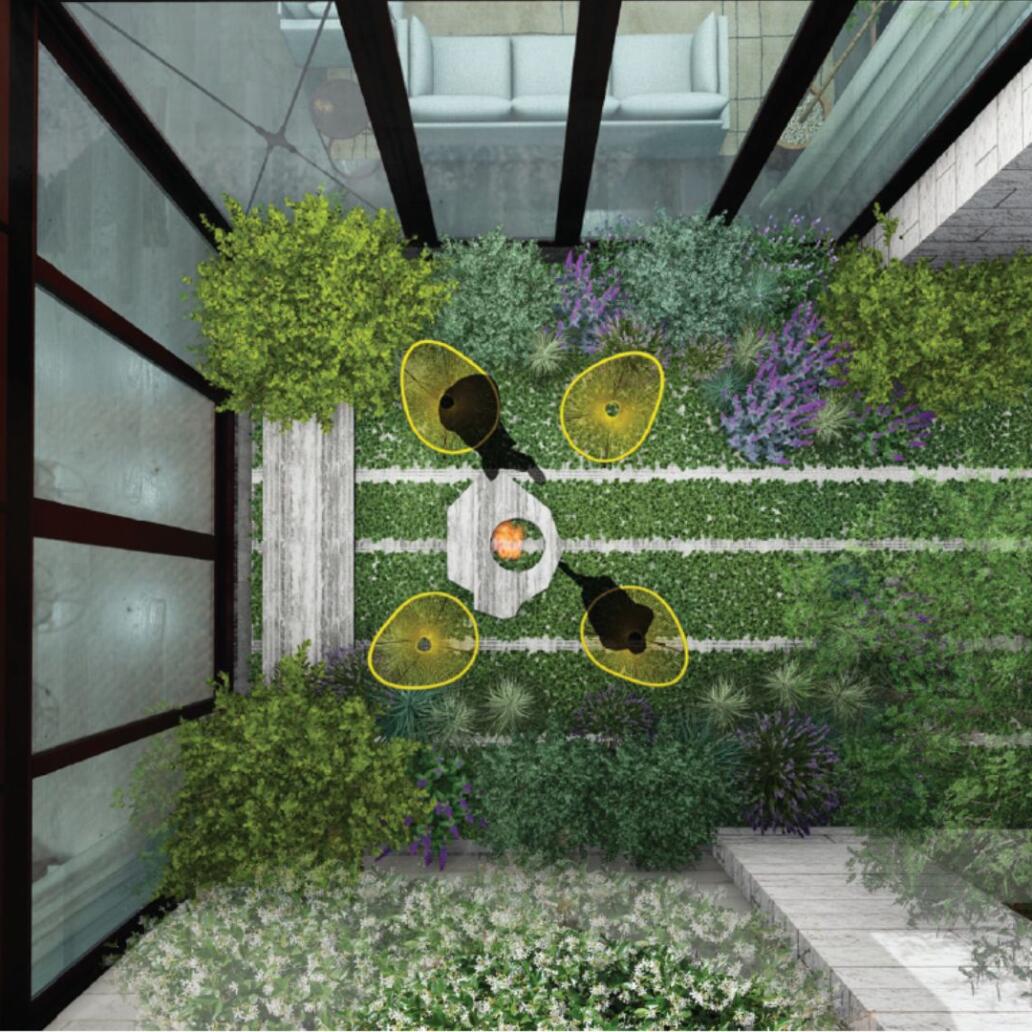 Presenting at CAP 8×8: Trauma-informed Design in the Landscape - Superbloom