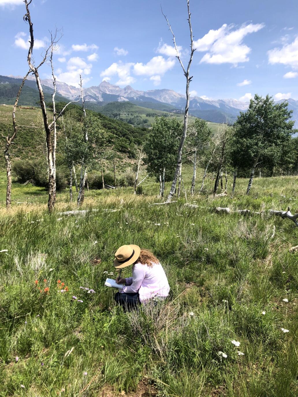 About Superbloom - Superbloom