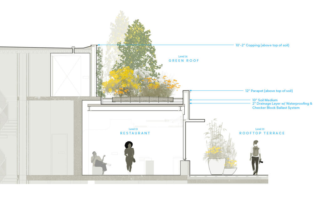 Populus Hotel Green Roof & Streetscape - Superbloom