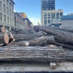 Populus Hotel Green Roof & Streetscape - Superbloom