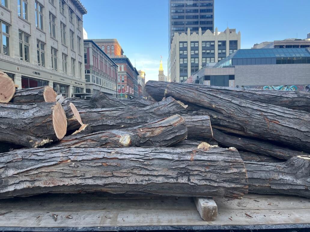 Populus Hotel Green Roof & Streetscape - Superbloom