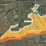 Coyote Ridge Open Space Master Plan - Superbloom