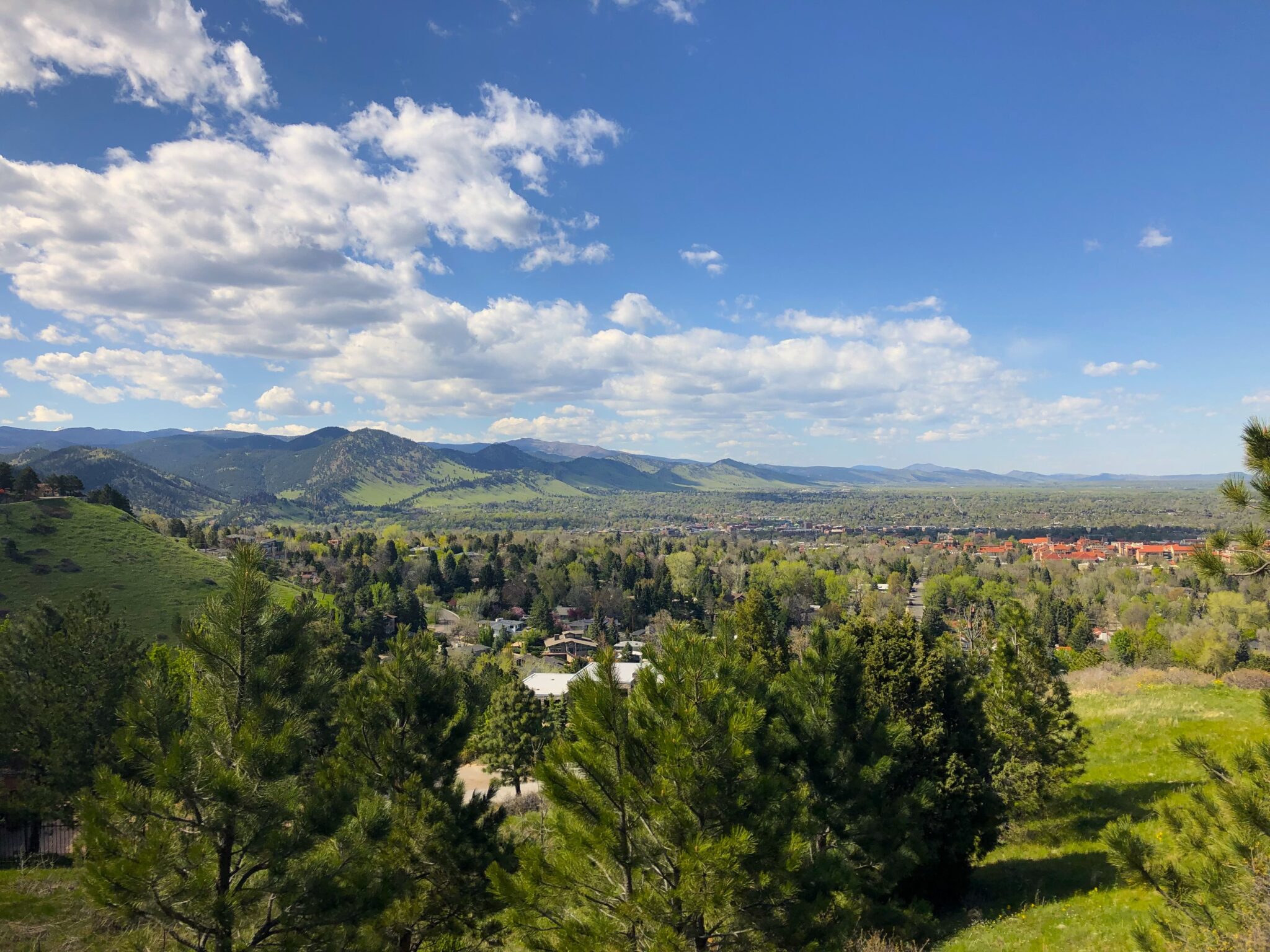 Superbloom Landscape Architecture - Denver, CO