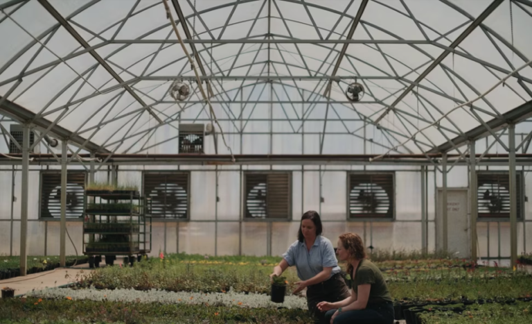 About Superbloom - Superbloom