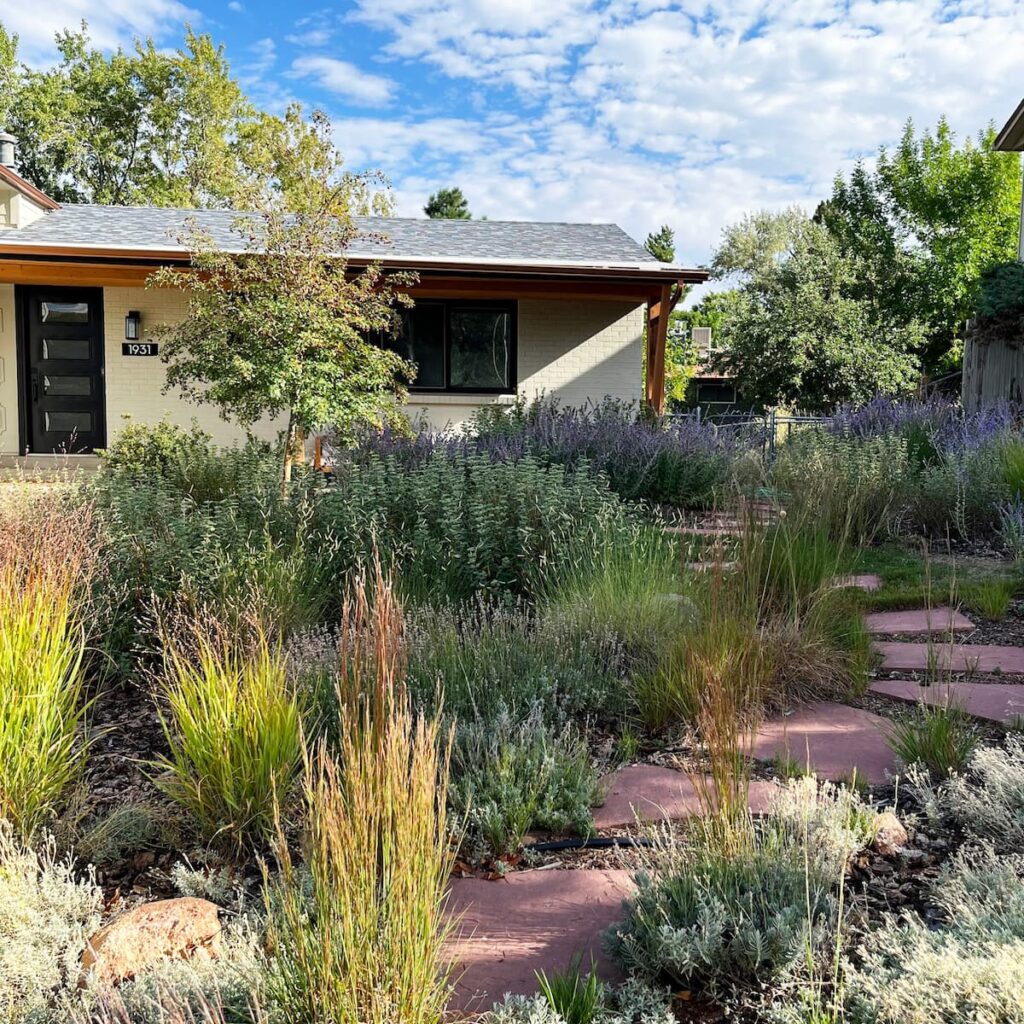 About Us - Superbloom